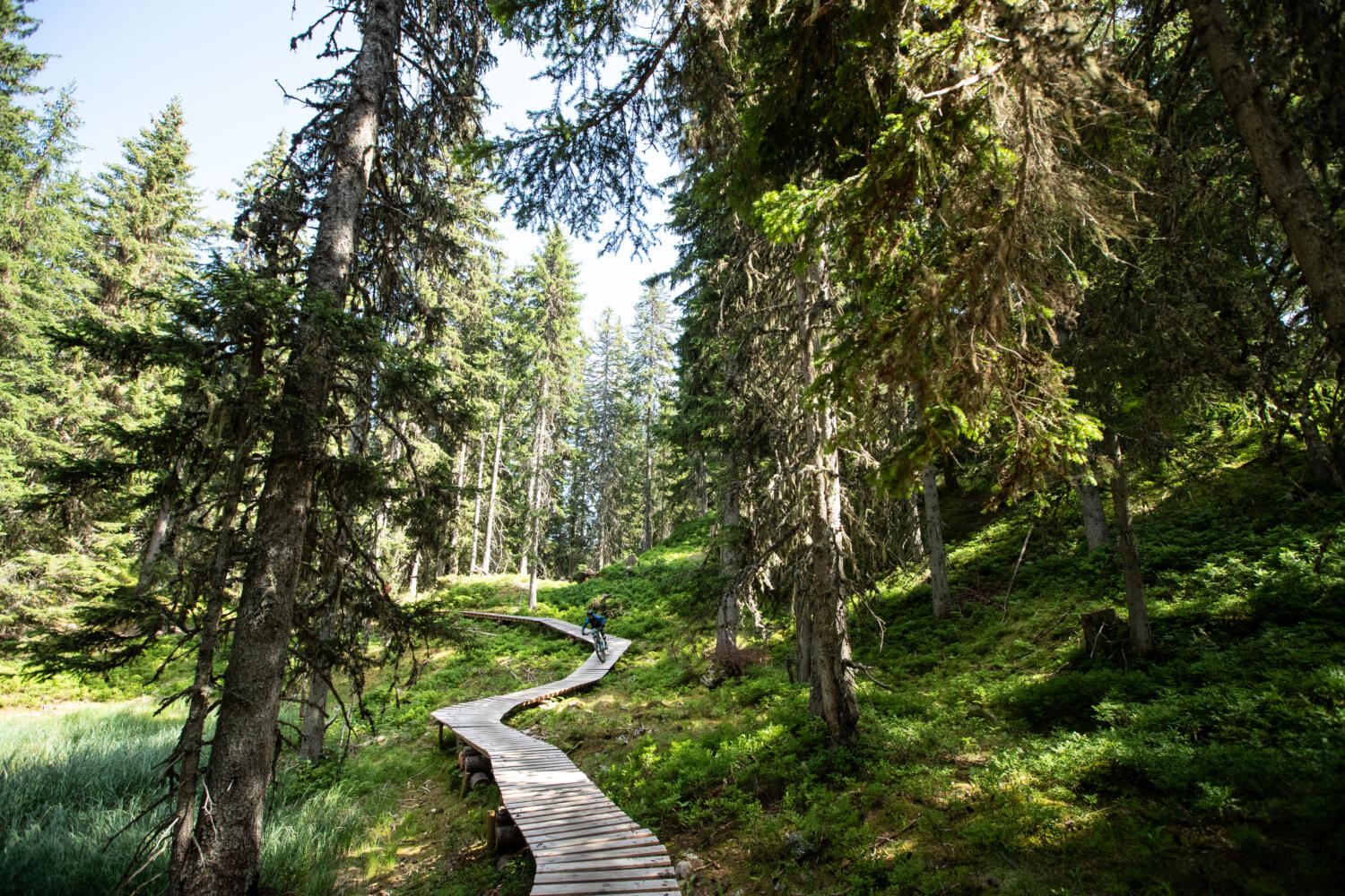 Filière bois - Ville de Beaufort